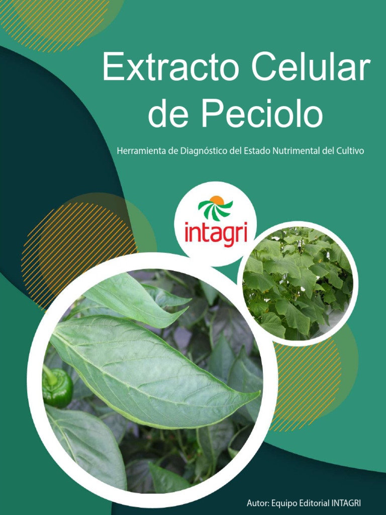 Extracto Celular de Peciolo | PDF | Agua | Agricultura