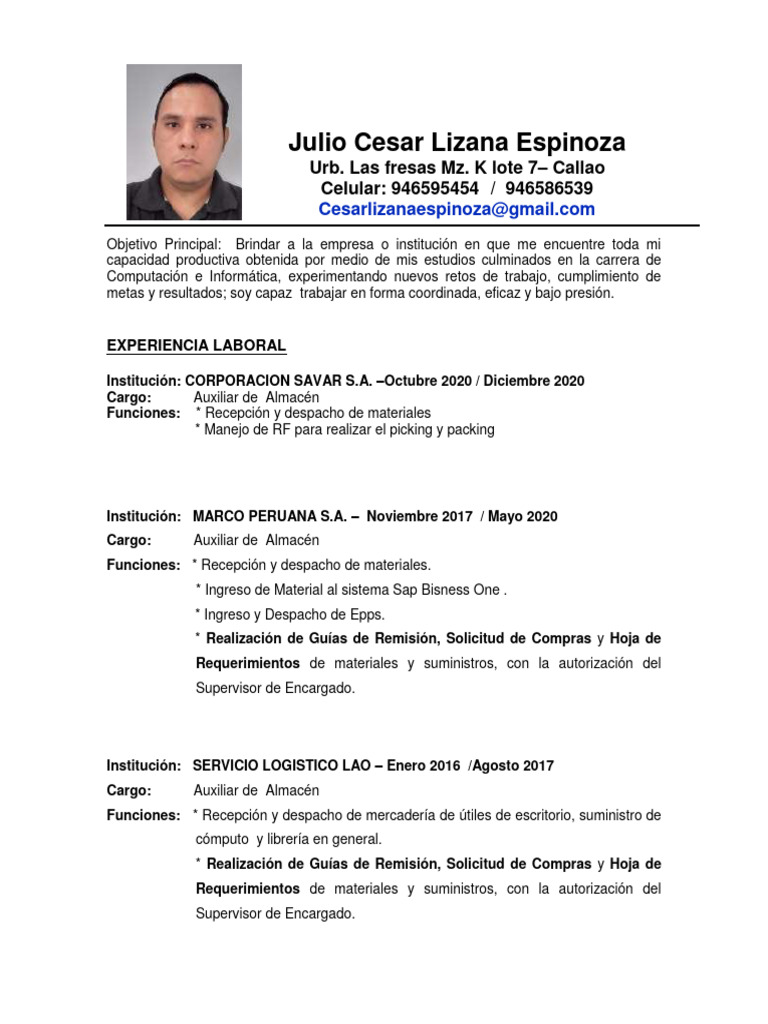 CV Cesar - Actualizado 2021 | Descargar gratis PDF | Logística | Business