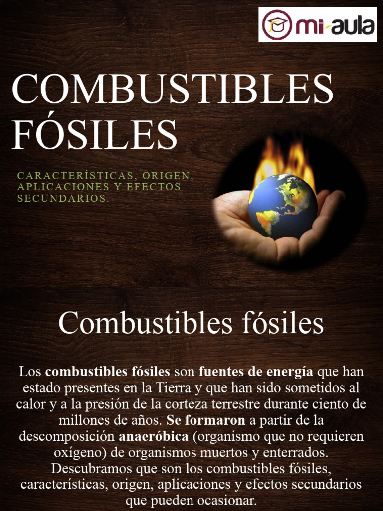 Características y tipos de combustibles fósiles | PDF | Combustibles ...