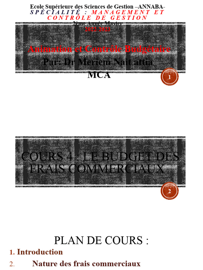 Budget et Contrôle des Frais Commerciaux | PDF | Budget | Économie d'entreprise