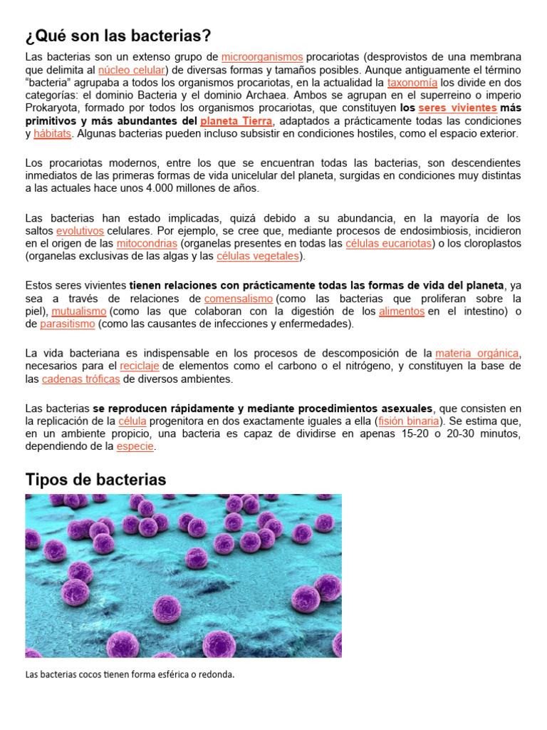 Las Bacterias | PDF | Las bacterias | Biología Celular)