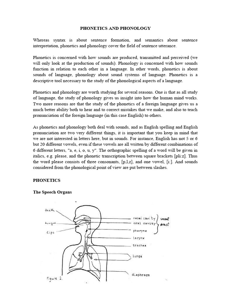 Phonetics and Phonology | PDF | Phonetics | Phonology