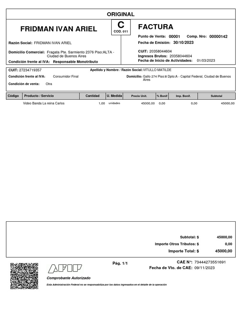 Fridman Ivan Ariel Factura: Original | Descargar gratis PDF | Economias