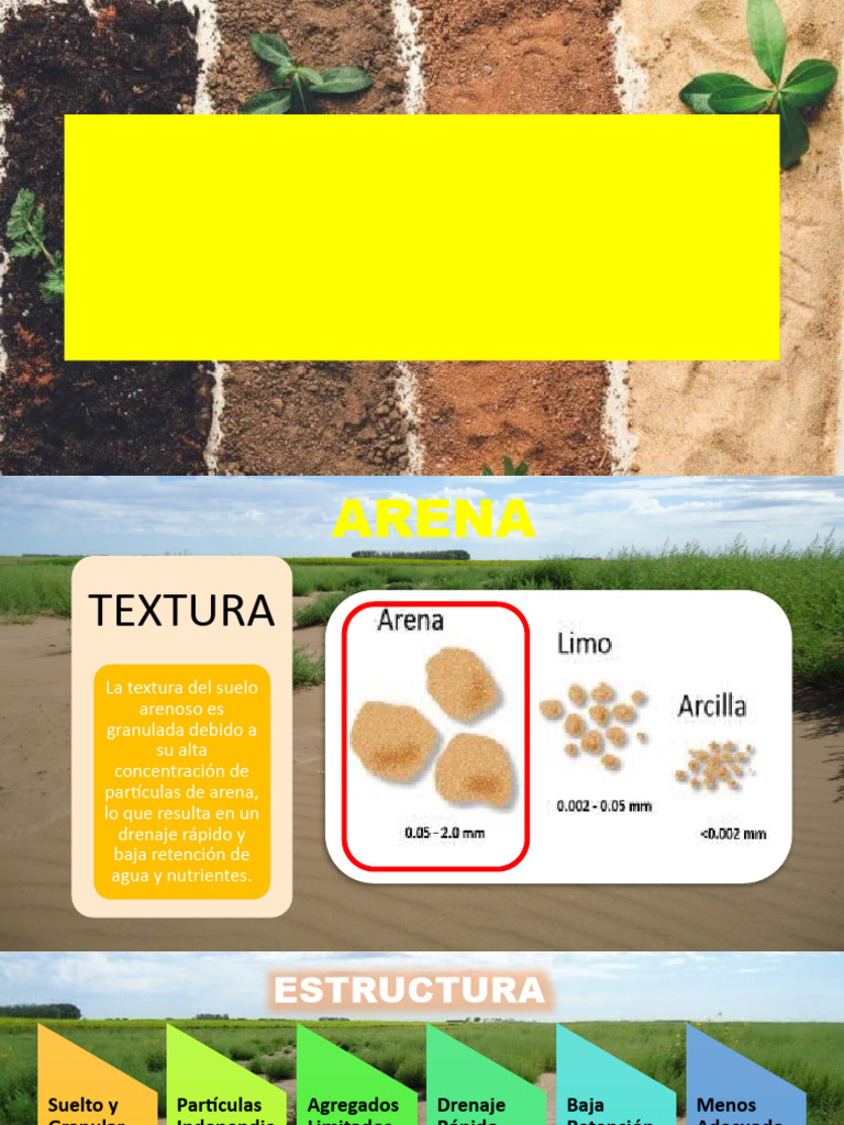 Características de Suelos Arenosos, Limosos y Arcillosos | PDF | Suelo ...