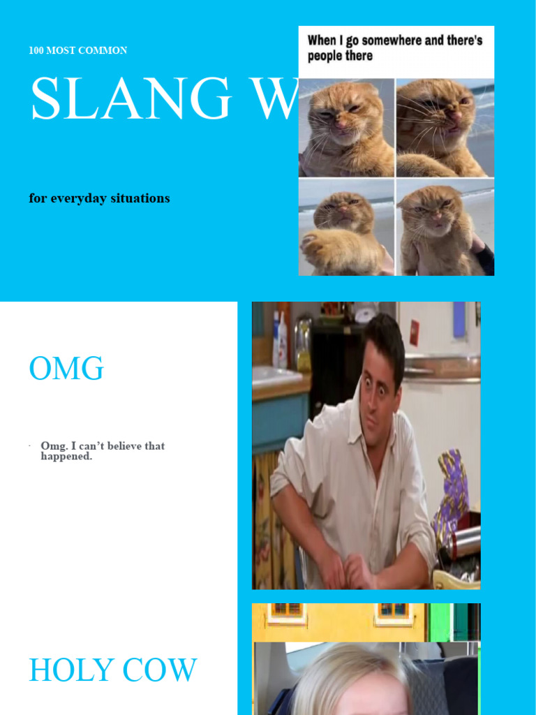 Top 100 Everyday Slang Words | PDF