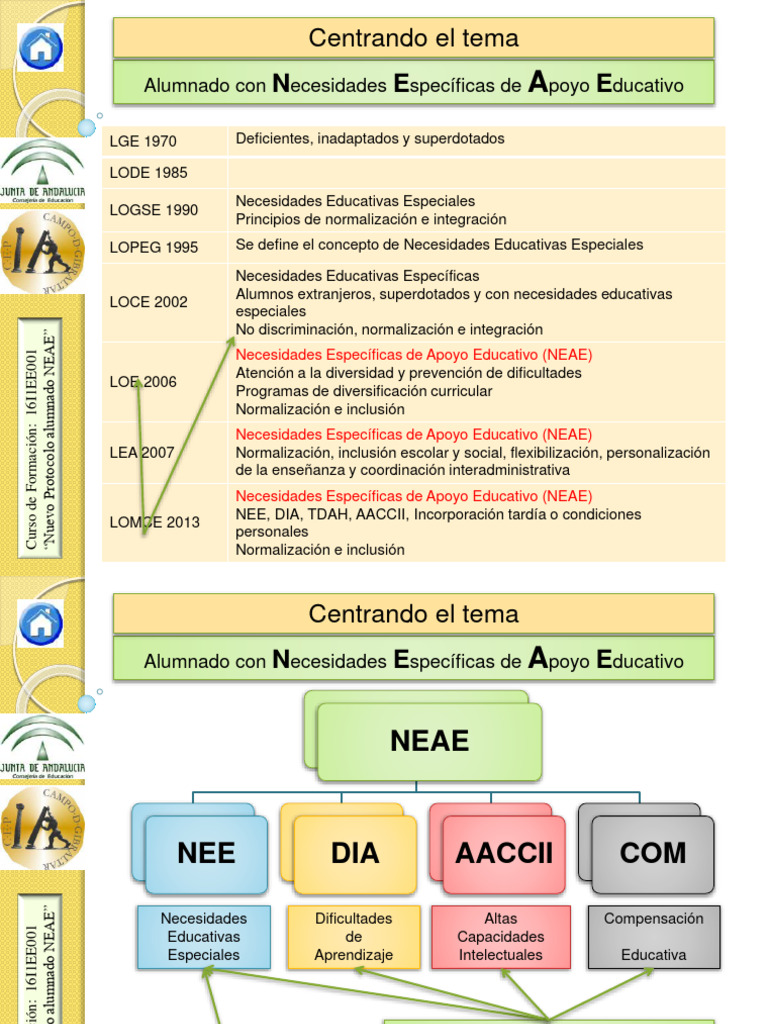 Jerarquia legislacion-NEAE | Descargar gratis PDF | Invalidez | Aprendizaje