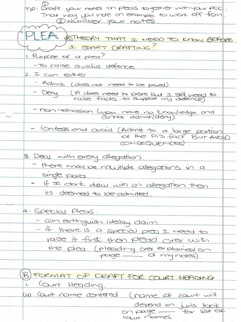Example of Notes On Pleas - Alicia Raymond | PDF