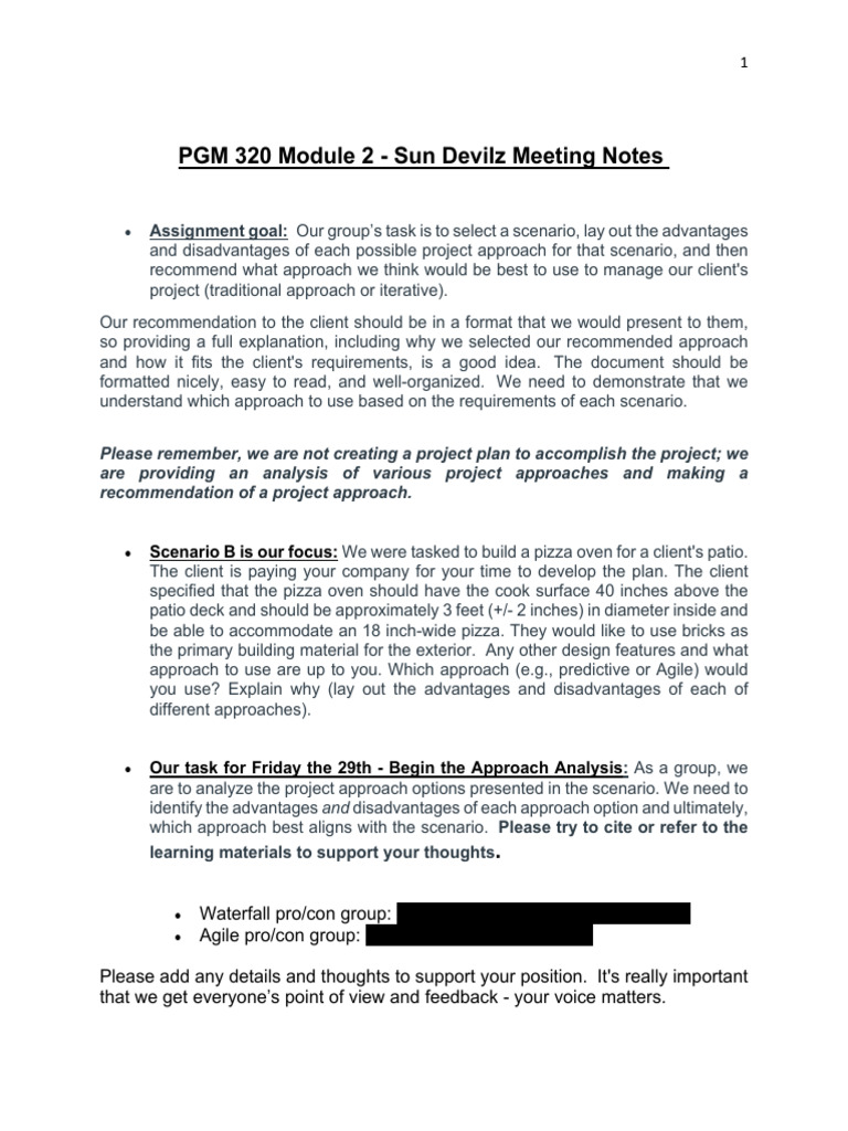 PMG 320 Module 2 Meeting Notes | PDF | Cognitive Science | Cognition