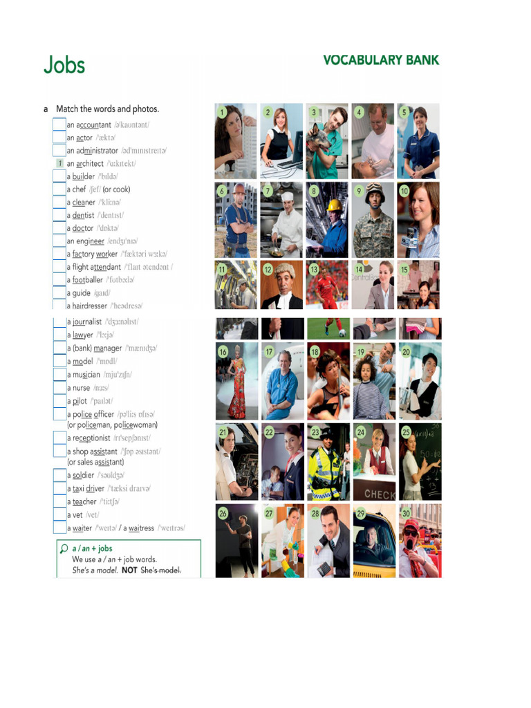 People Professions | PDF