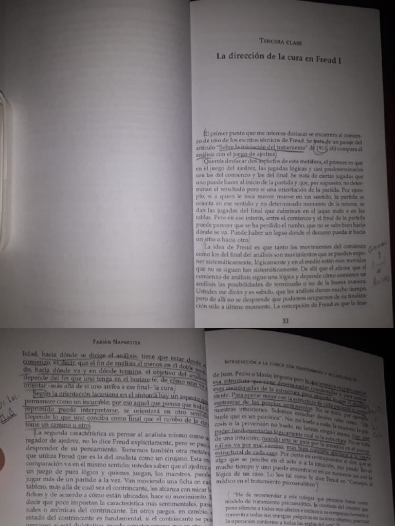 Naparstek Introduccion III La Direccion de La Cura en Freud | PDF