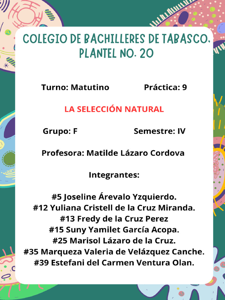 Práctica No.9 | PDF