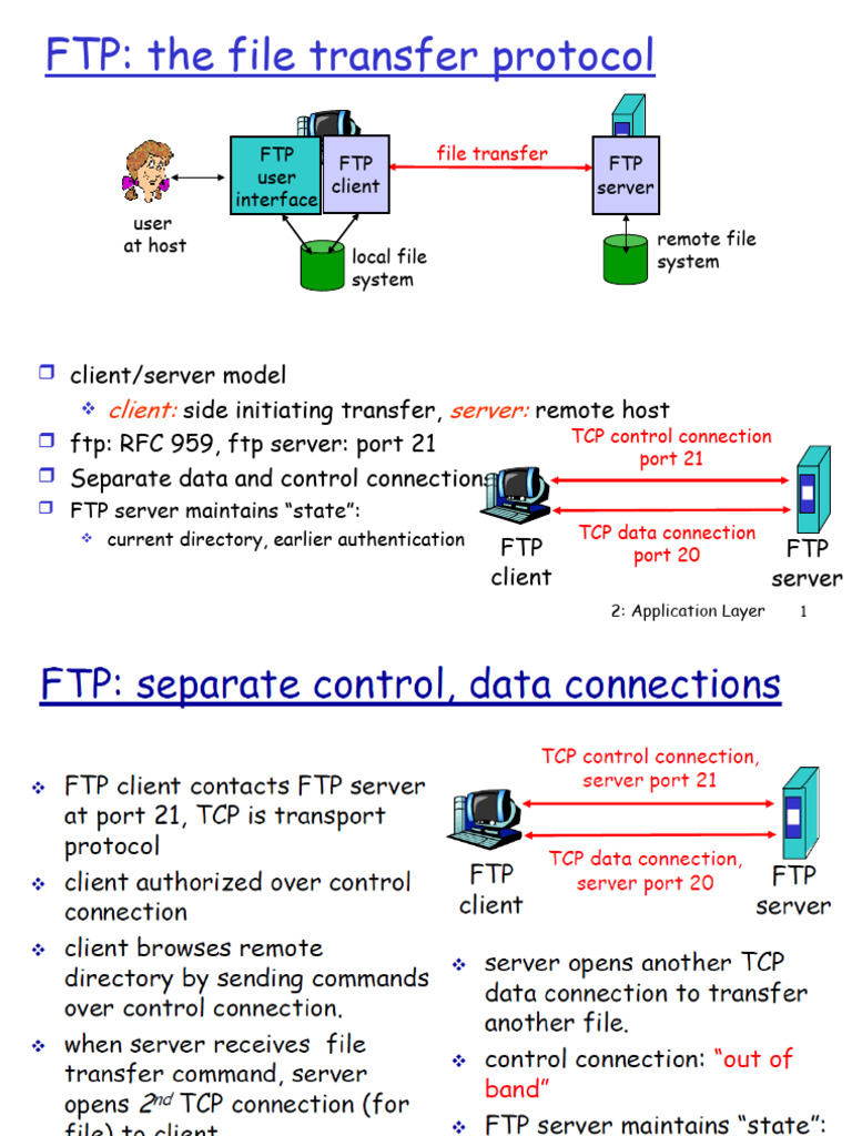 Application Layer Protocols Overview | PDF | Domain Name System | File Transfer Protocol