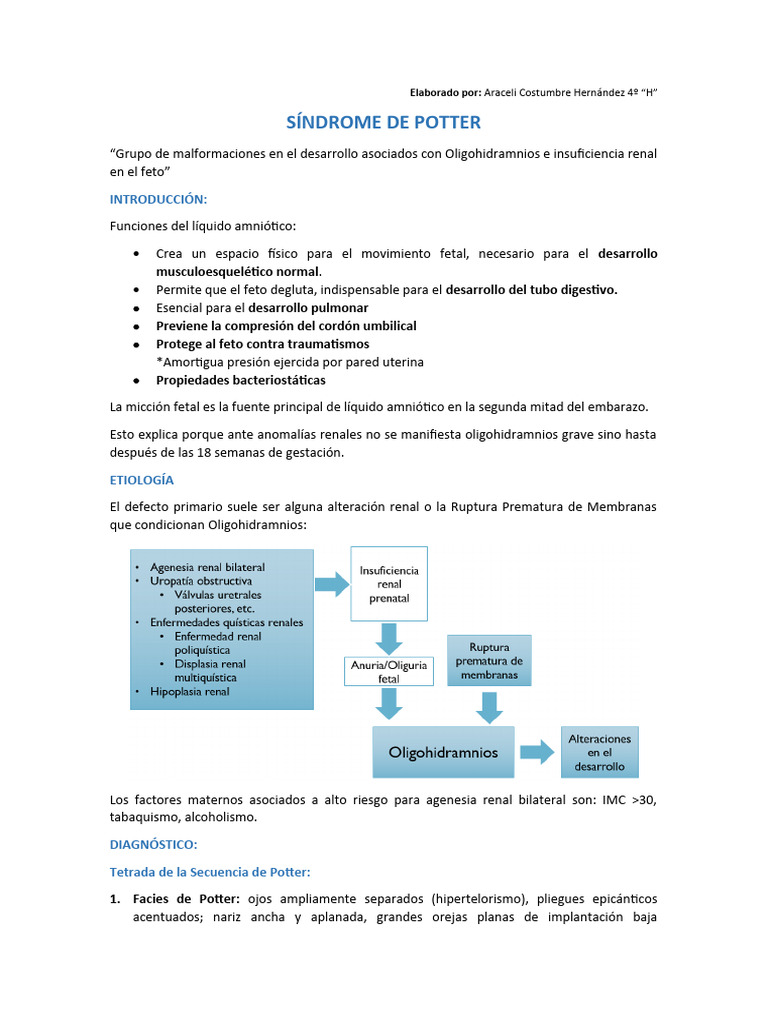 Sindrome de Potter | Descargar gratis PDF | Feto | El embarazo