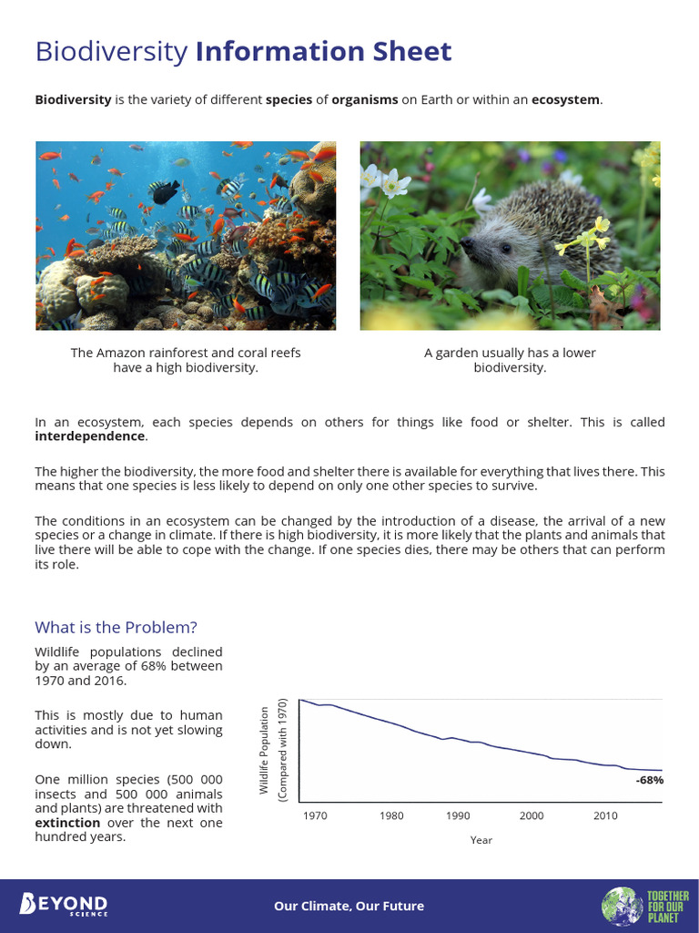 Biodiversity | PDF | Biodiversity | Ecosystem