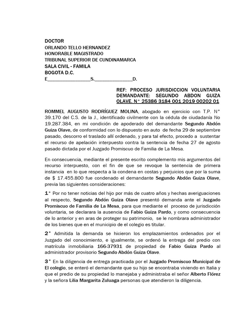 202SUSTENTACION RECURSO APELACION | PDF | Sentencia (ley) | Demanda judicial