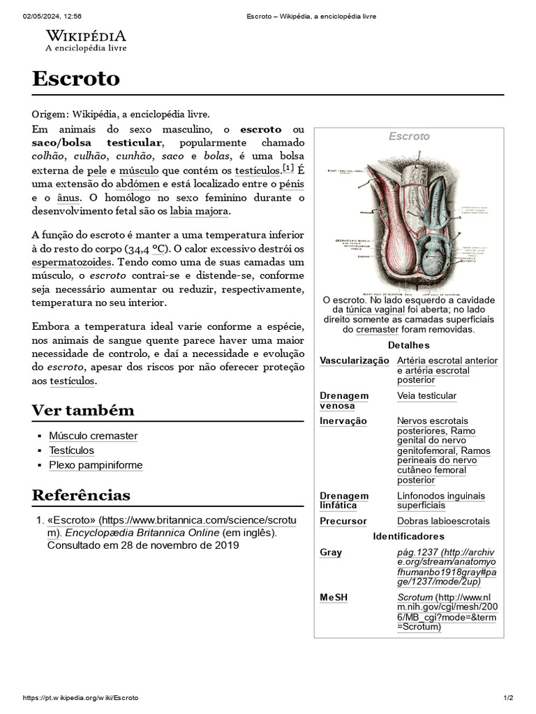 Escroto - Wikipédia, A Enciclopédia Livre | PDF | Anatomia | Testículo