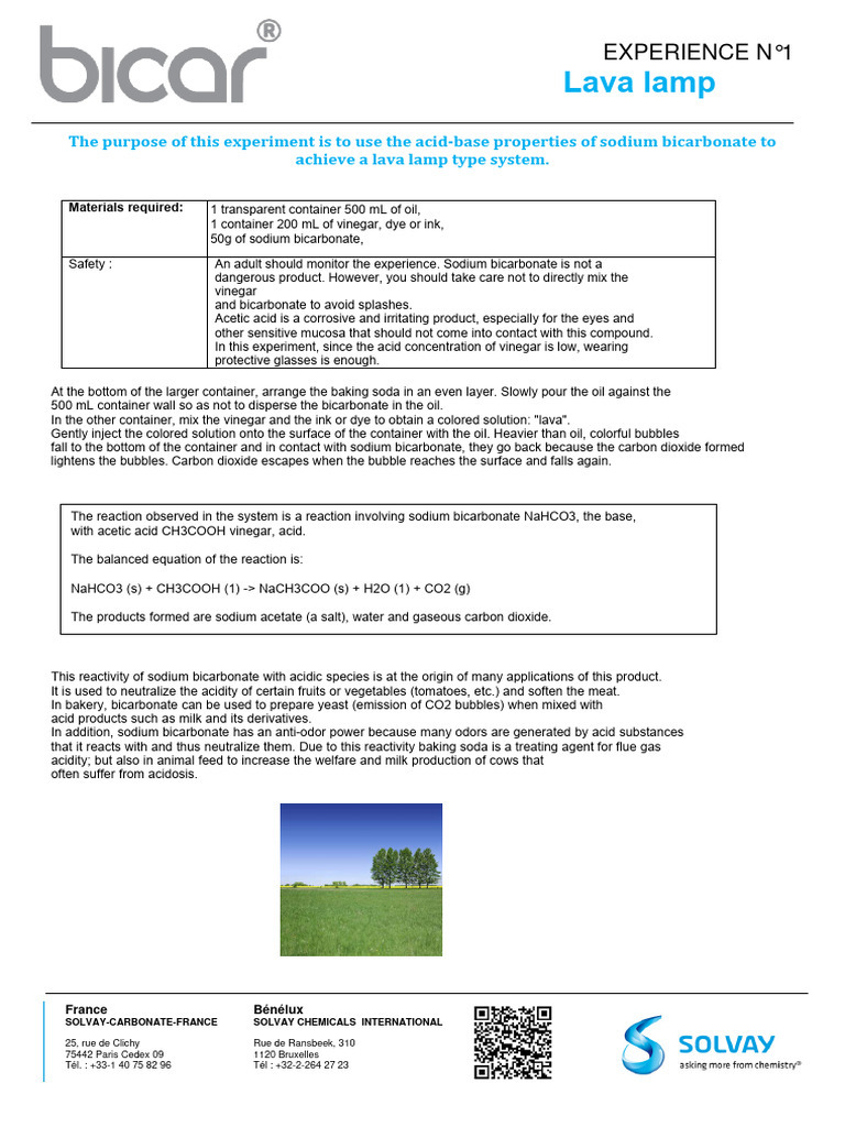 Experiment Homemade Lava Lamp | PDF | Sodium Bicarbonate | Sodium Carbonate