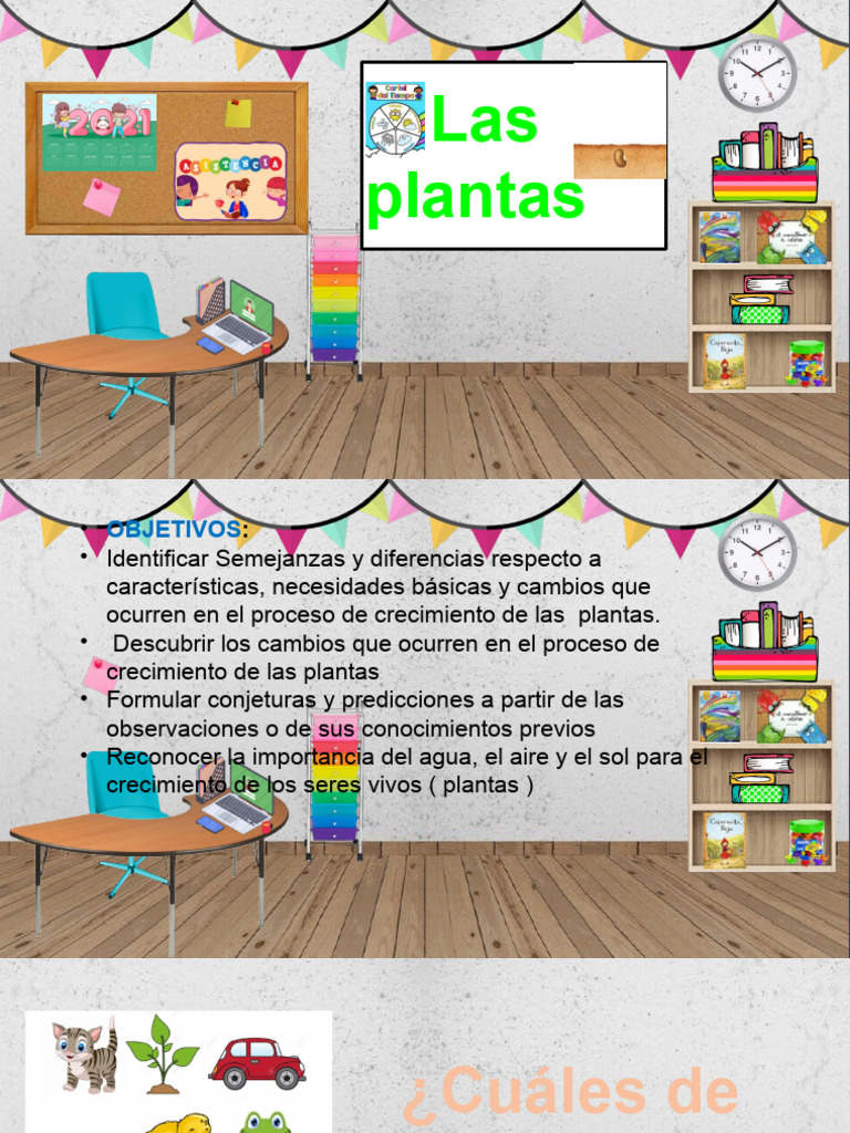 Clase 5 de Agosto Las PlANTAS | PDF | Plantas | Botánica