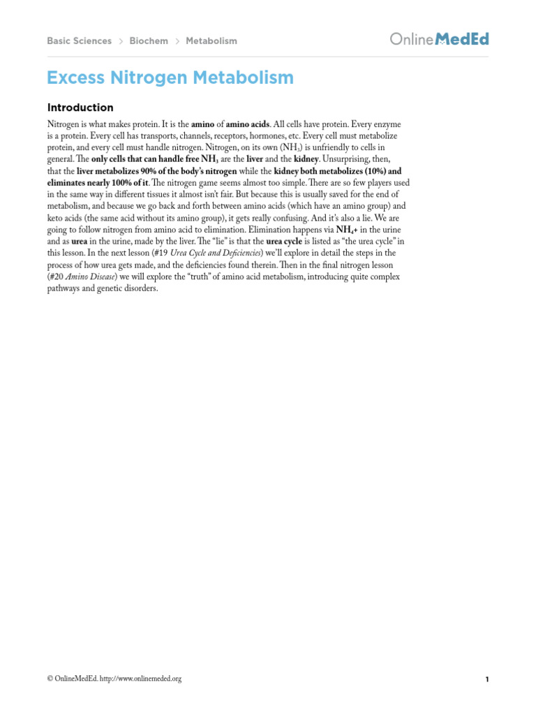 Understanding Excess Nitrogen Metabolism | PDF | Transaminase | Alanine