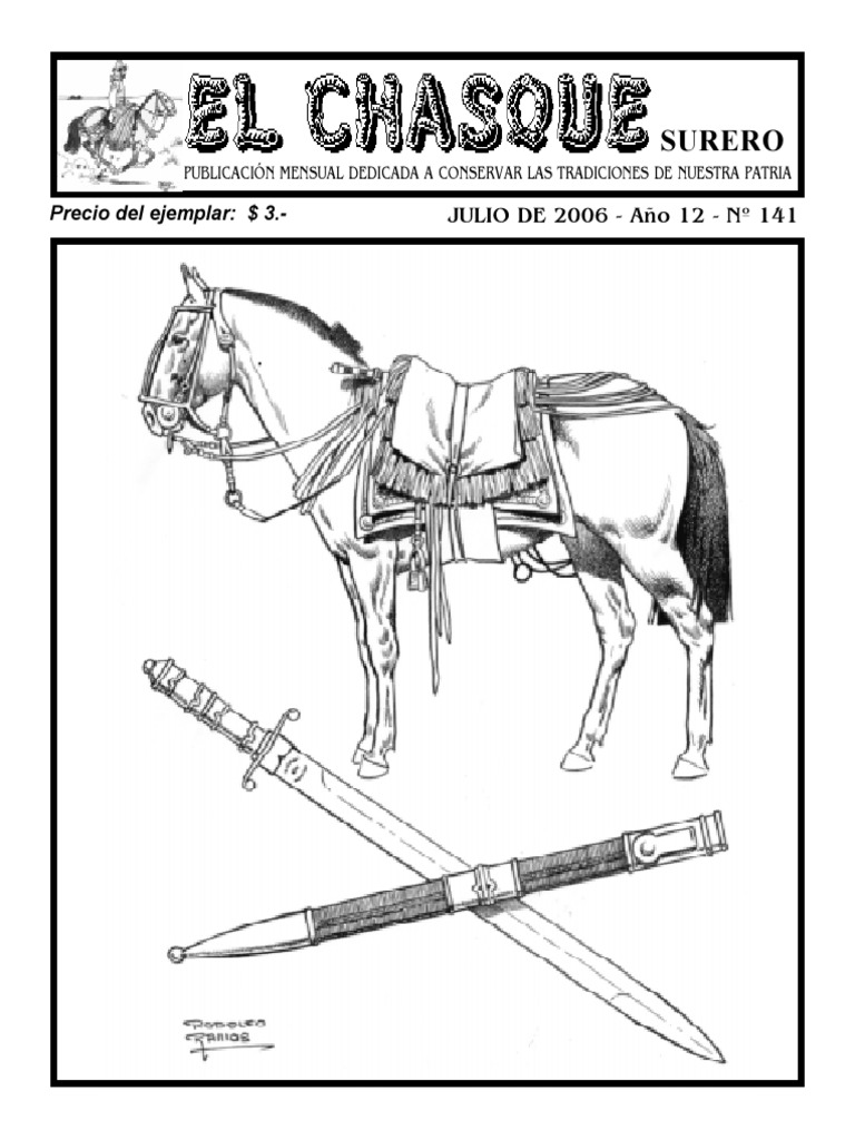 El Chasque Surero: Tradiciones y Política | PDF | Viajes y turismo