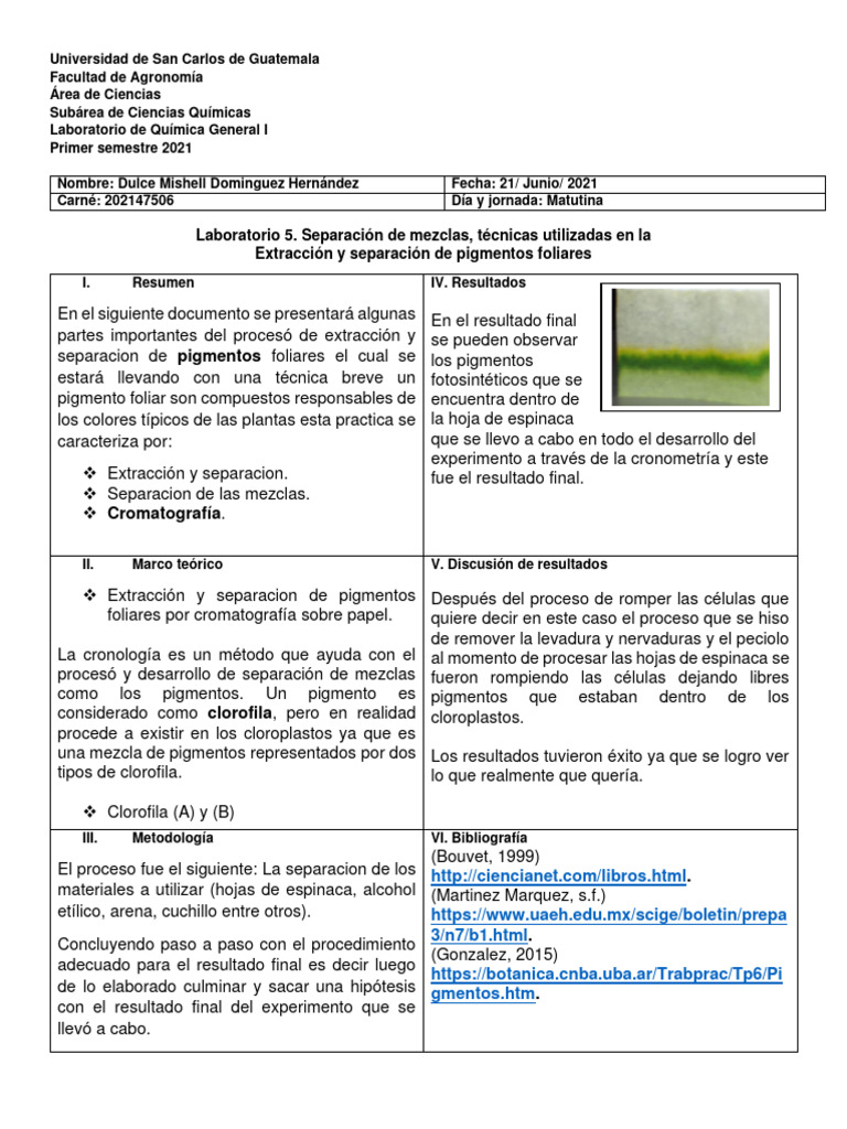 Practica #6 (Extraccion y Separacion de Pigmentos Foliares) Dulce Mishell Dominguez Hernández ...