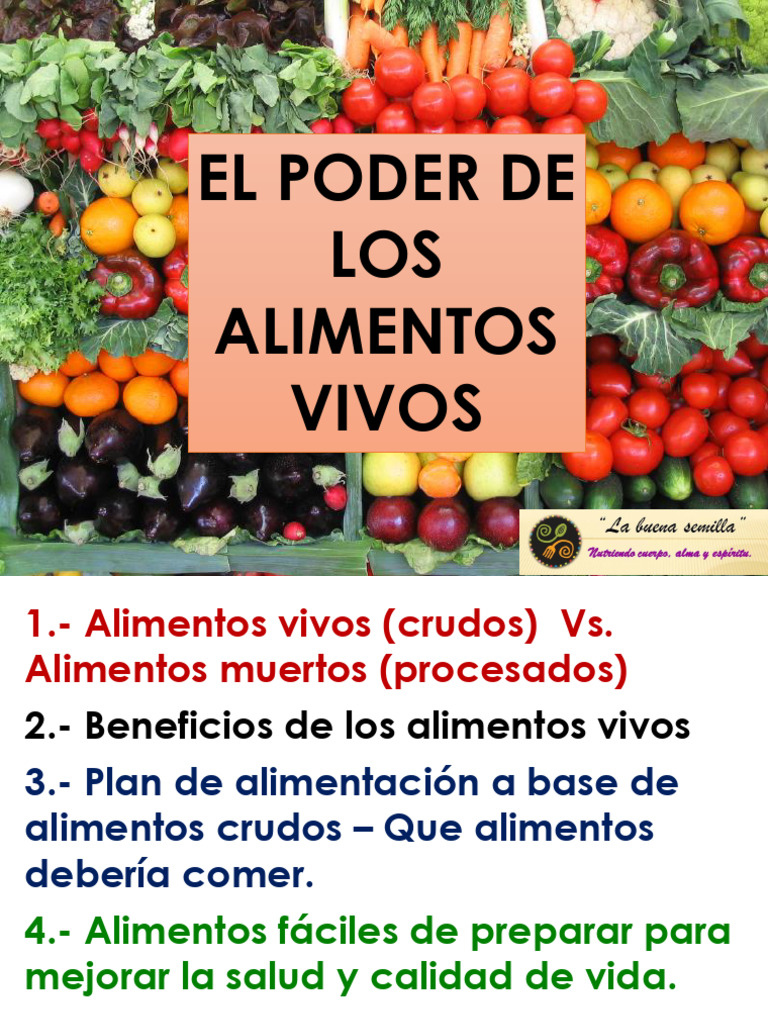 10 Alimentos Vivos | PDF | Alimentos | Leche