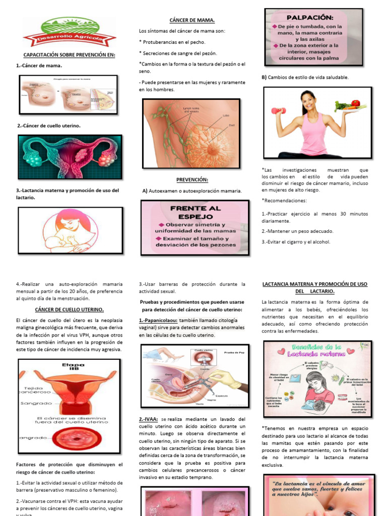 Tríptico sobre Cáncer Cervicouterino | PDF | Cáncer | Cáncer de cuello ...