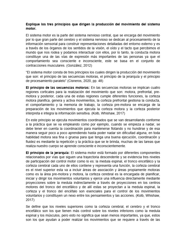 Explique Los Tres Principios Que Dirigen La Producción Del Movimiento ...