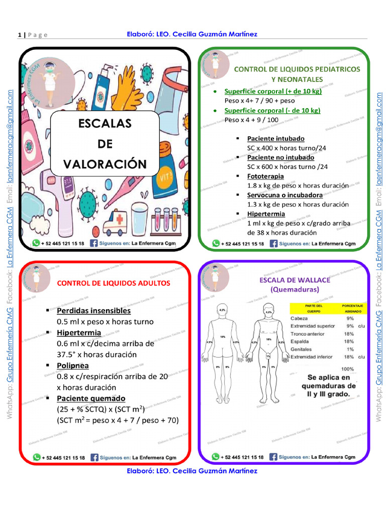 Escalas CGM V2 | PDF