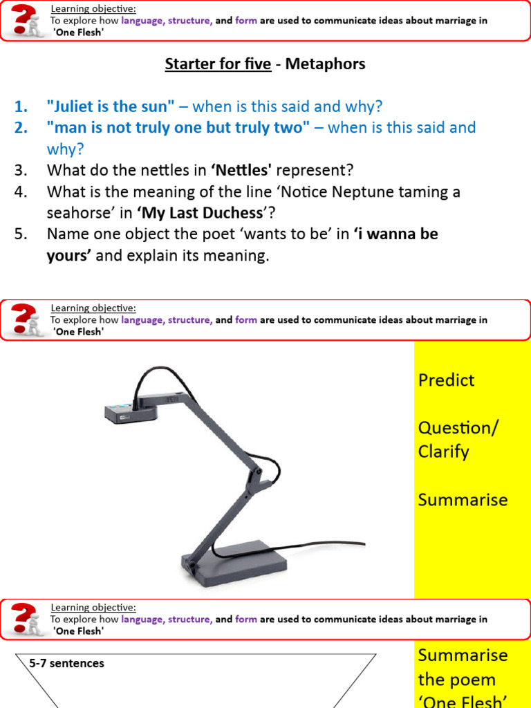 8 - One Flesh | PDF | Language Arts & Discipline