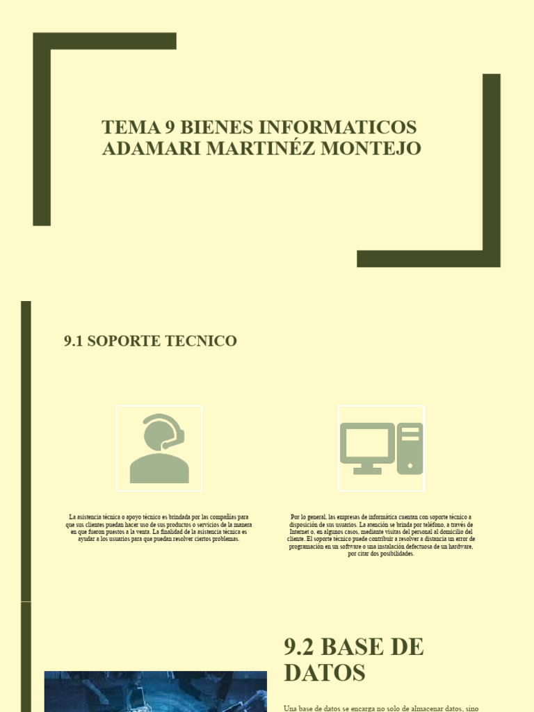 Tema 9 Bienes Informaticos | PDF | Red mundial | Internet y web