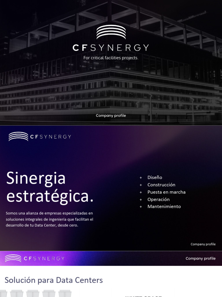 CF Synergy - Company Profile 2023 | PDF | Ingenieria Eléctrica | Ingeniería
