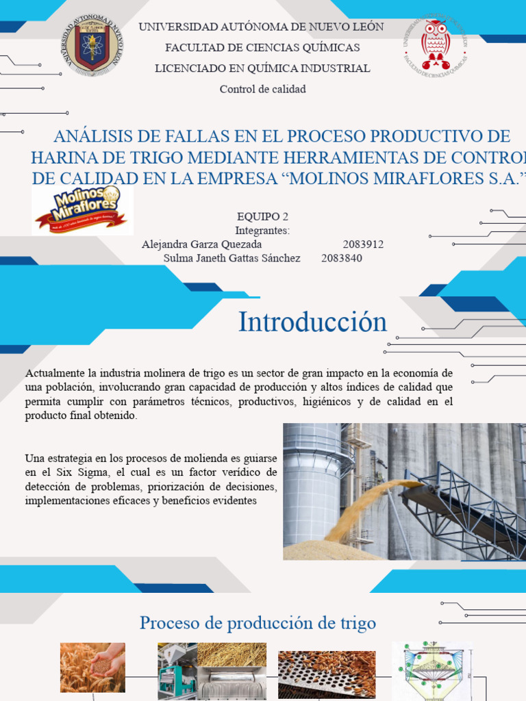 PIA CONTROL Sulma, Alejandra | PDF | Trigo | Molino (molienda)