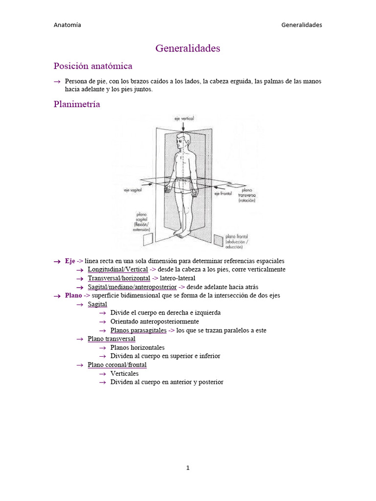 Generalidades de Anatomía | PDF | Articulación | Sistema musculoesquelético
