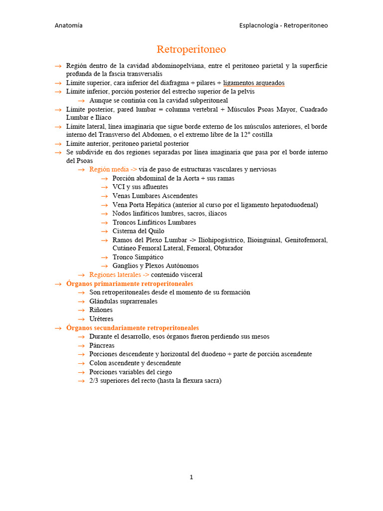 Anatomía del Retroperitoneo y Órganos | PDF | Riñón | Abdomen