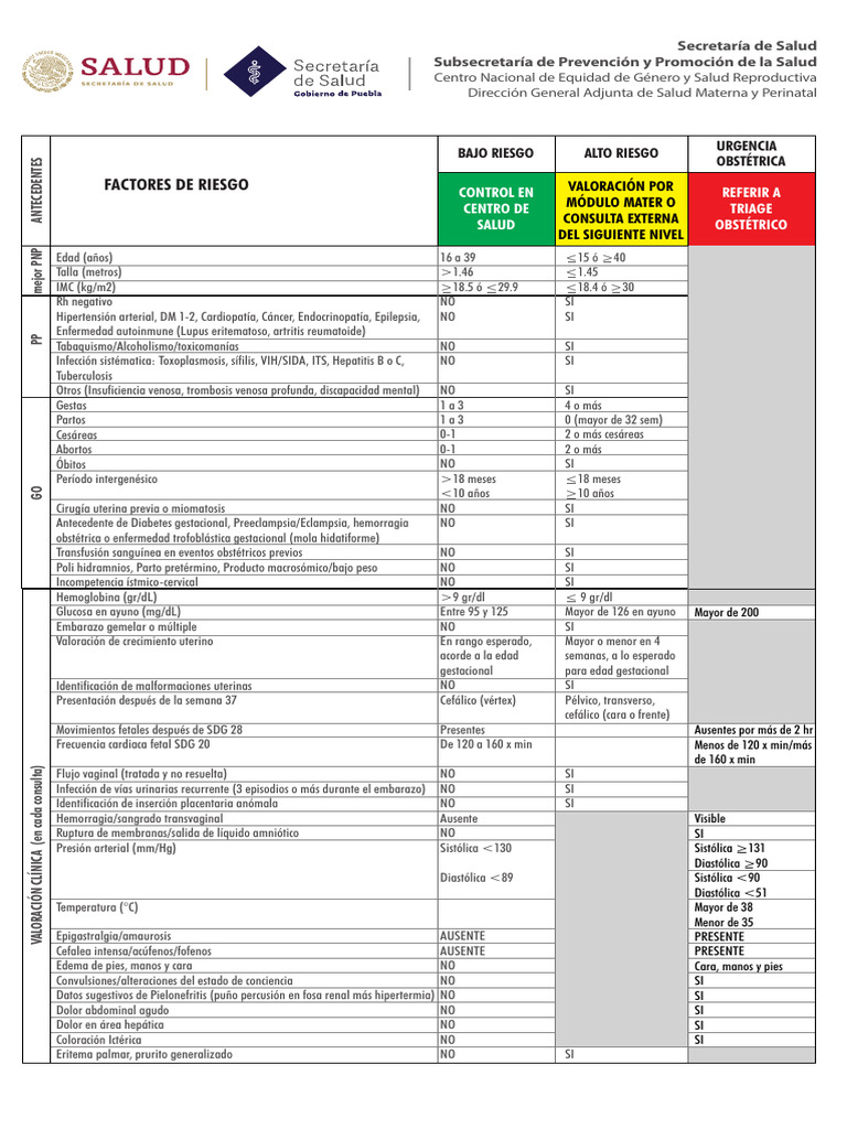 Evaluación de Riesgos en Embarazo | PDF | Especialidades Medicas ...