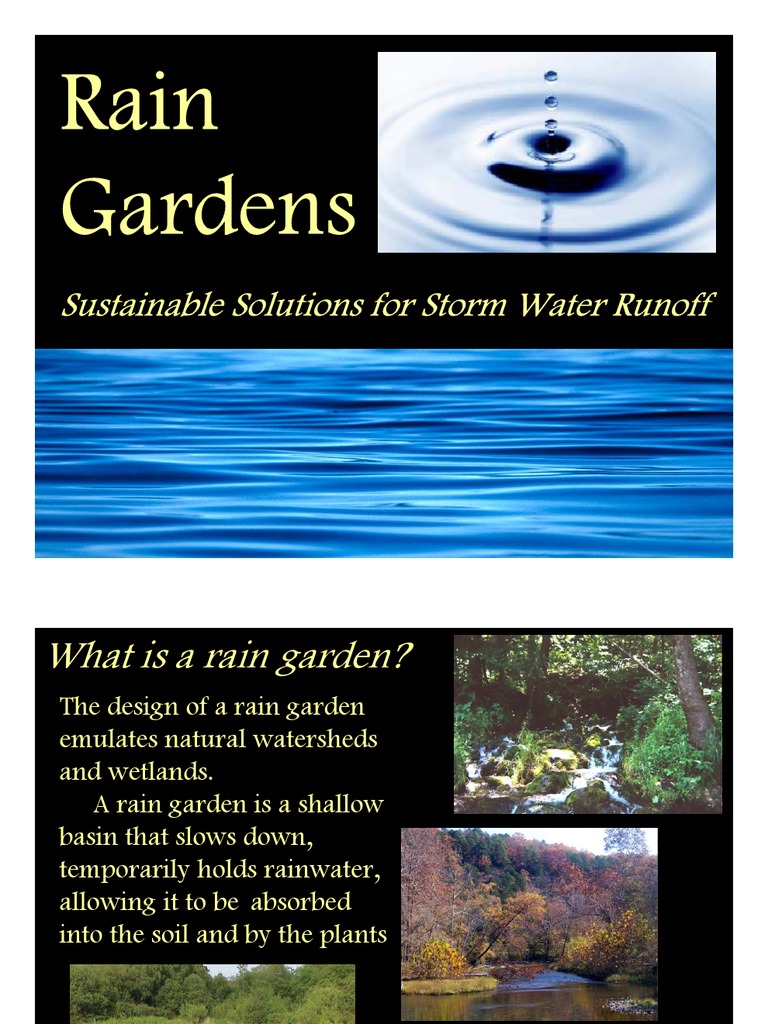 Rain Gardens: Sustainable Stormwater Solutions | PDF