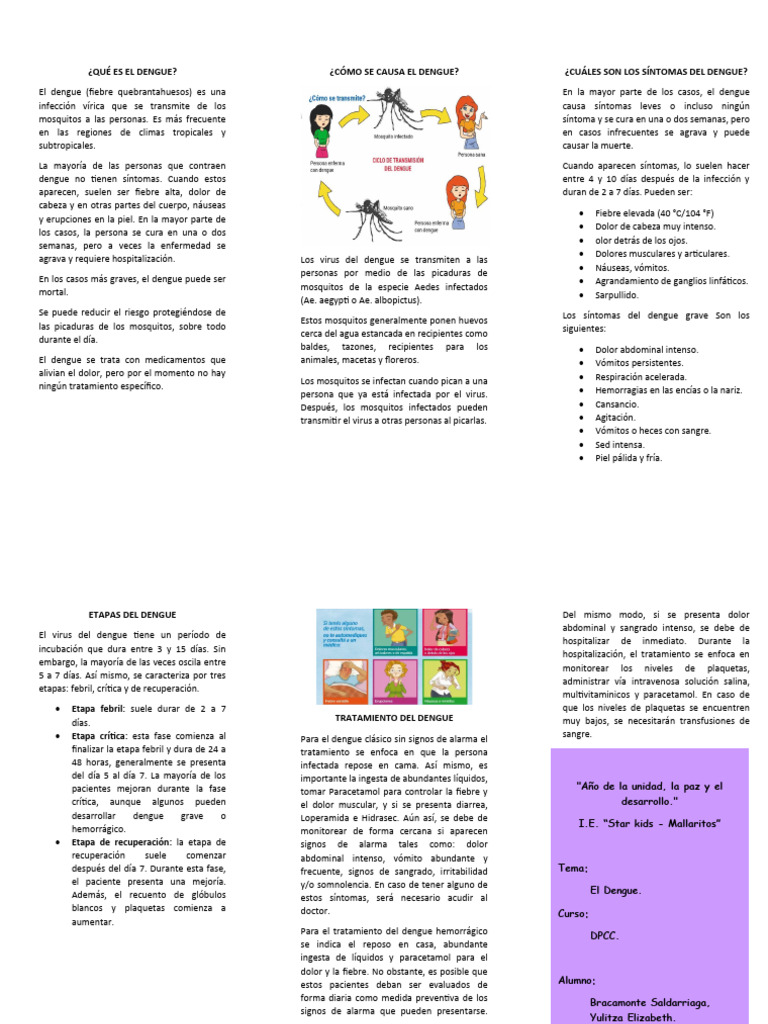 Triptico Dengue | PDF | Microbiología | Ciencias de la Salud