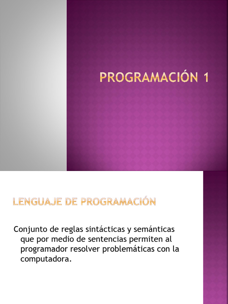 Conceptos Básicos de Programación | PDF | Algoritmos | Lenguaje de programación