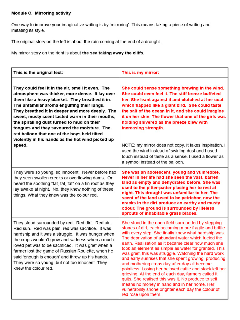 Mirroring Activity (English) | PDF
