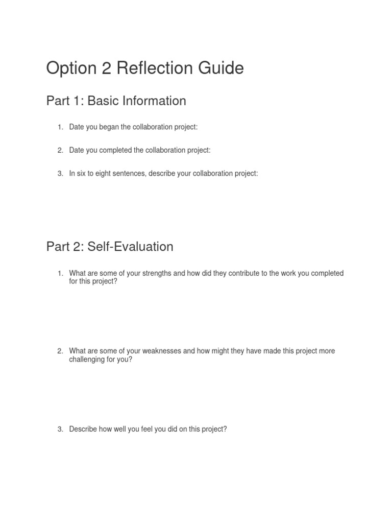 Reflection Guide For Option 2 - Working Independently | PDF | Career ...