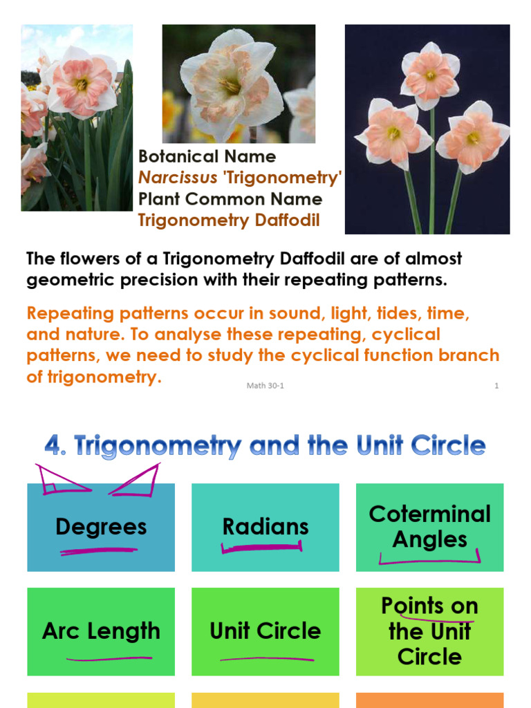 4 1 Angles And Angle Measure Download Free Pdf Angle Circle