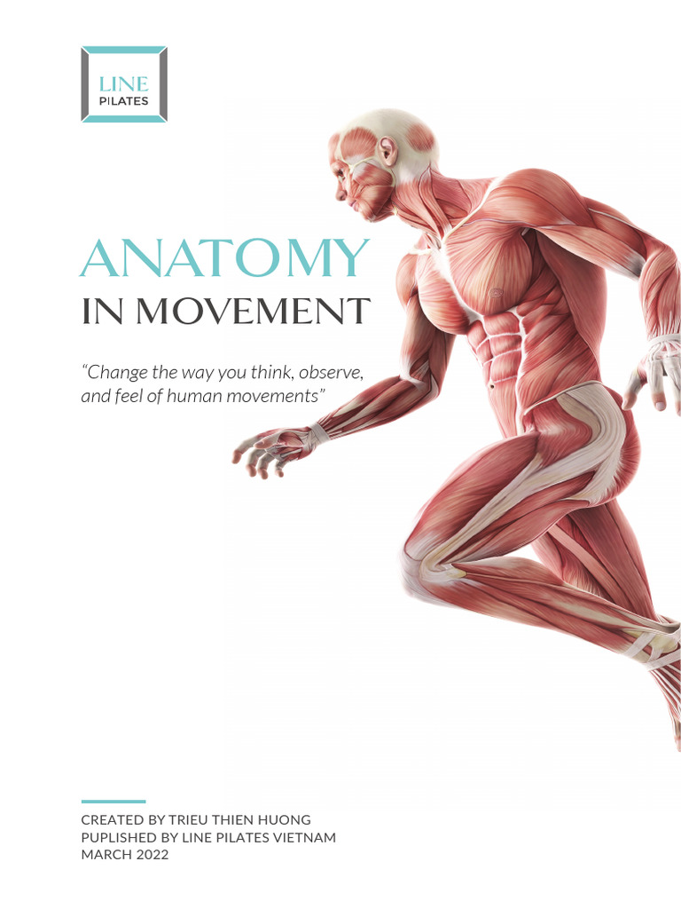 Anatomy in Movement Book - New | PDF