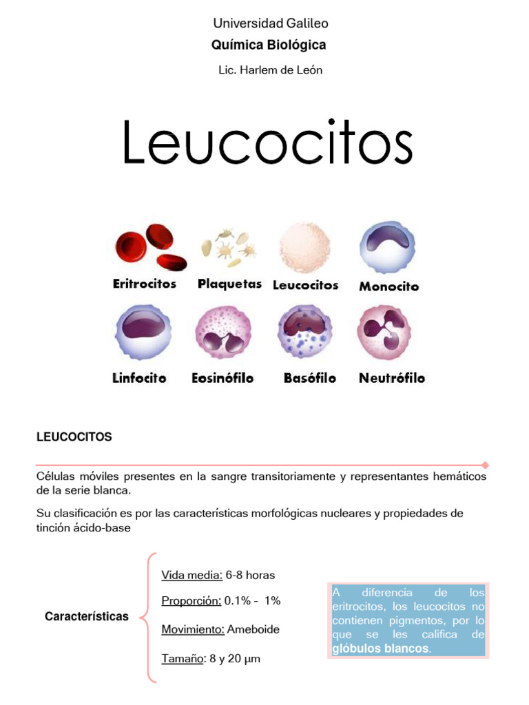 Leucocitos Funci N y Distribuci N | PDF | Linfocitos | Célula T