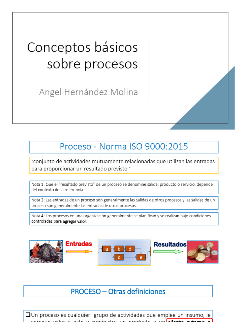 G PROCESOS-Conceptos Basicos de Procesos-2024-Vp | PDF | Modelo de negocio | Economias