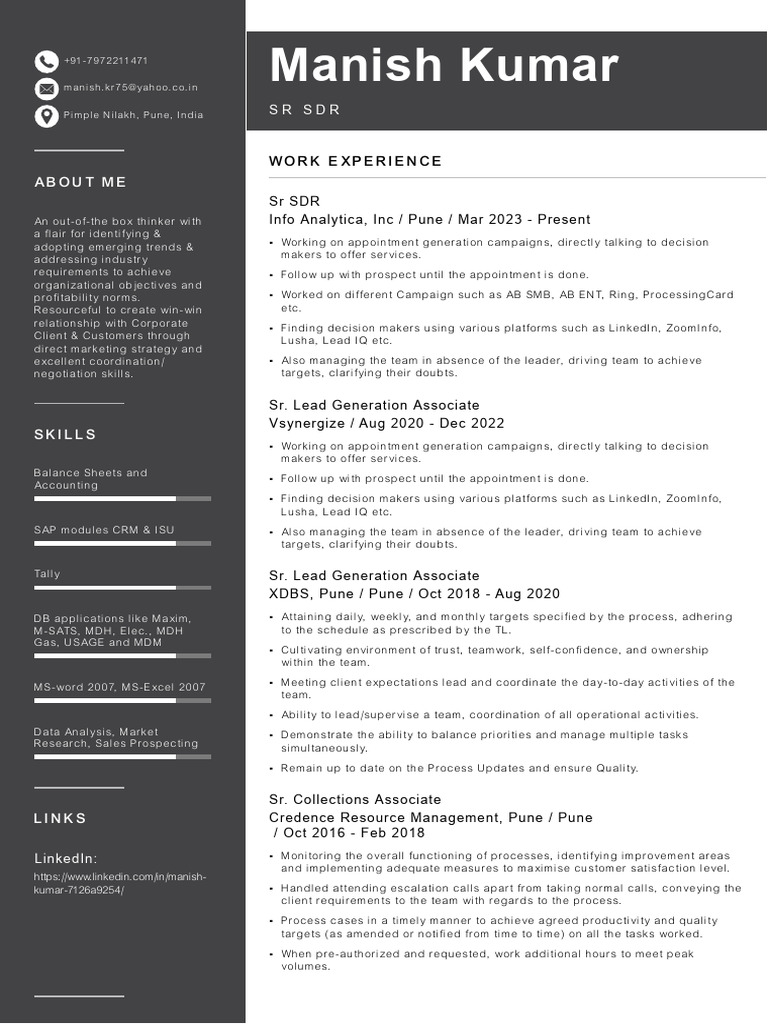 Manish Kumar CV | PDF | Business Economics | Business