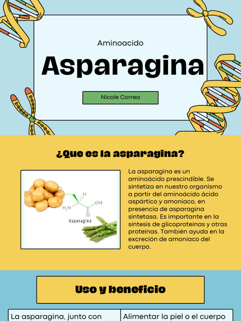 Funciones y fuentes de asparagina | PDF | Proteínas | Biosíntesis