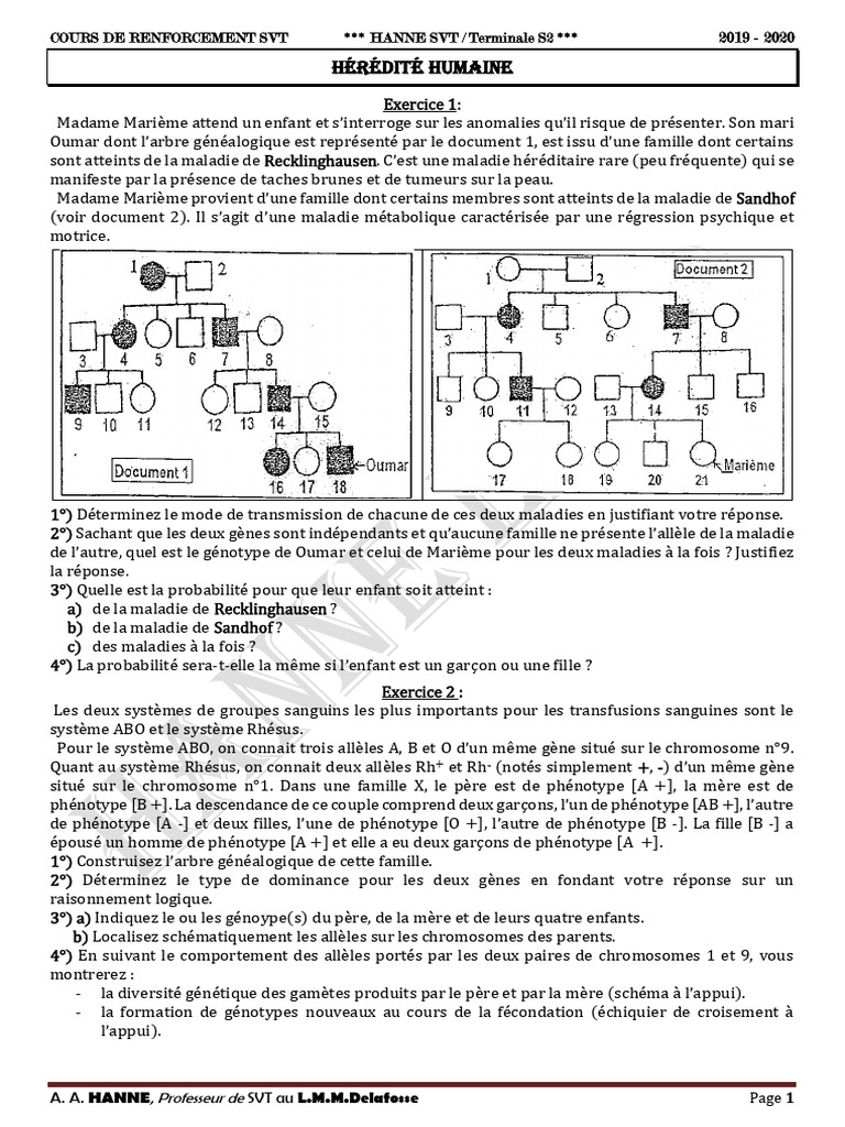 Hérédité humaine : maladies et génétique | PDF | Dominance (Génétique ...