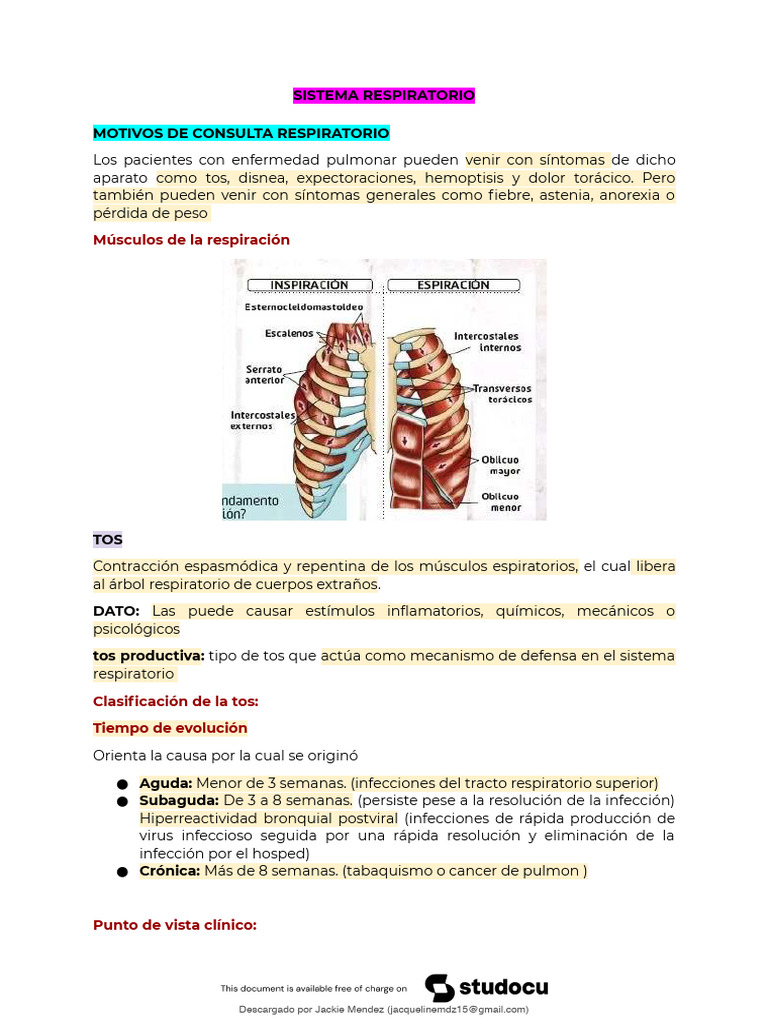 Sistema Respiratorio | Descargar gratis PDF | Tos | Pulmón