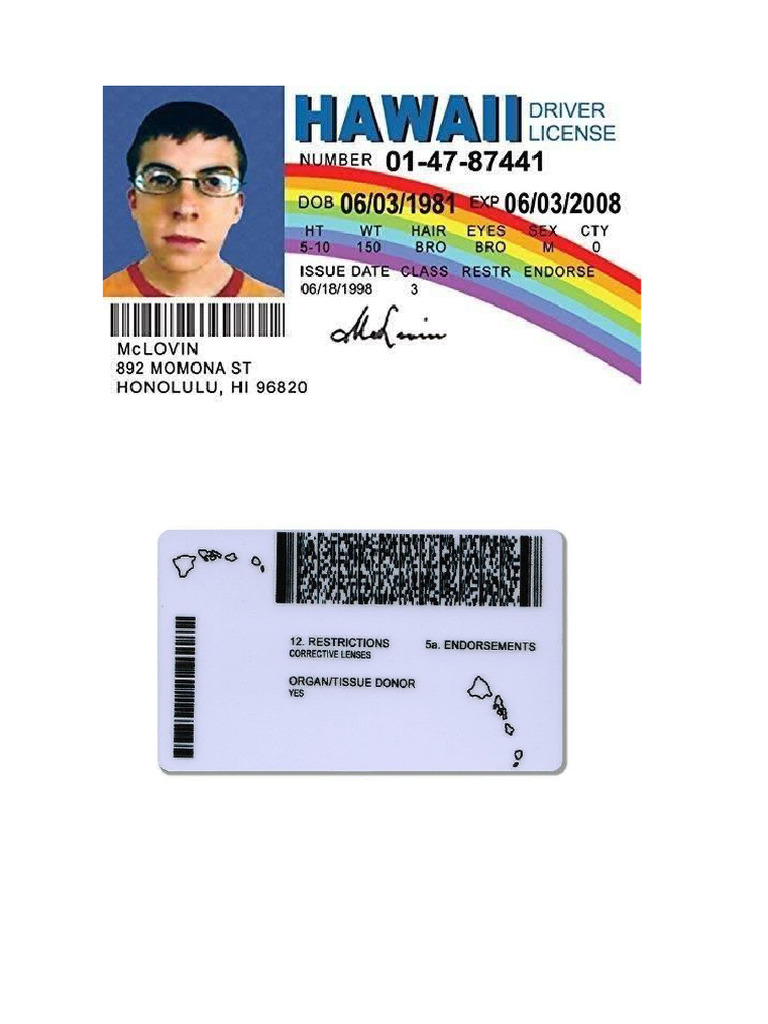 MCLOVIN | PDF